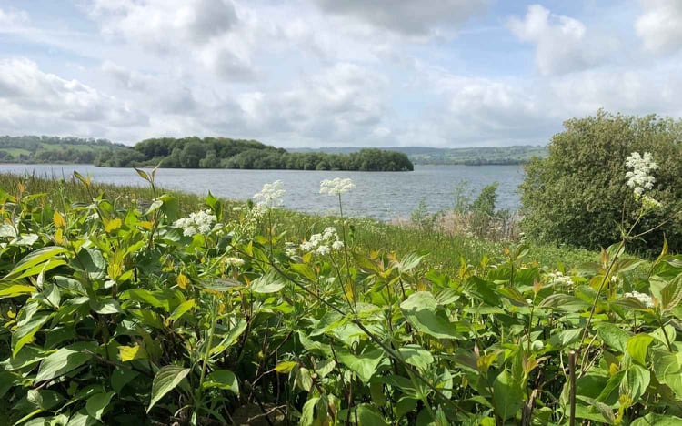 Bristol Water Homepage