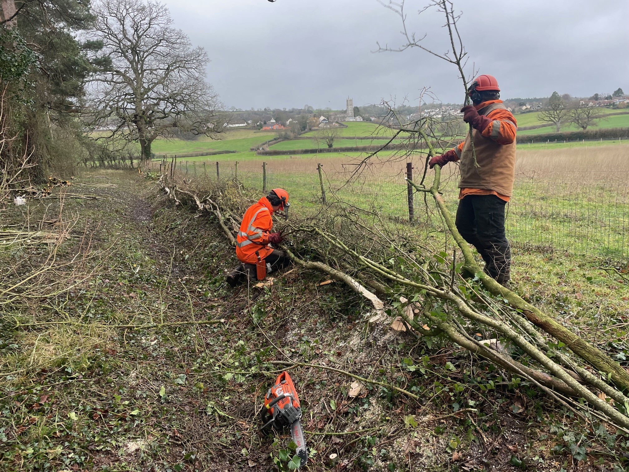 Bristol Water begin hedge laying project to enhance biodiversity at ...