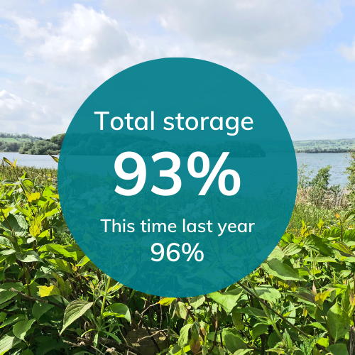 Current reservoir storage