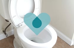 Leaky Loo