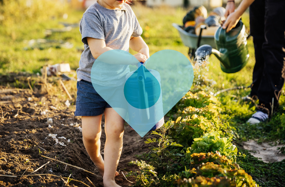 Saving water in the Garden